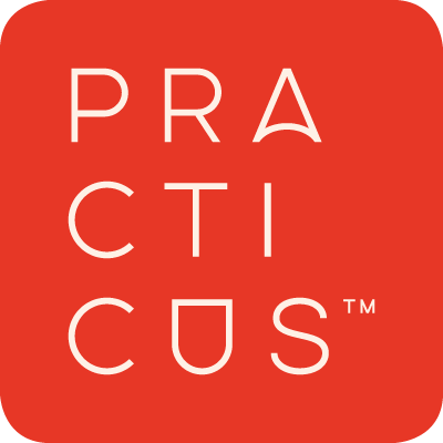 Practicus | Interim Managers, Executive Search and PMO services