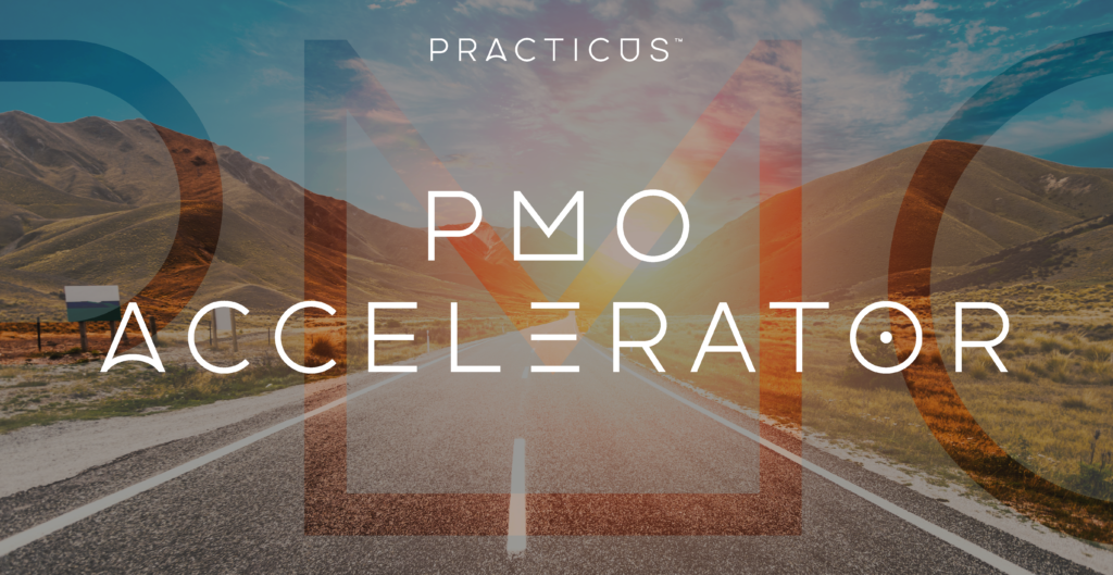 PMO Assessment - Practicus PMO Assessment - Practicus
