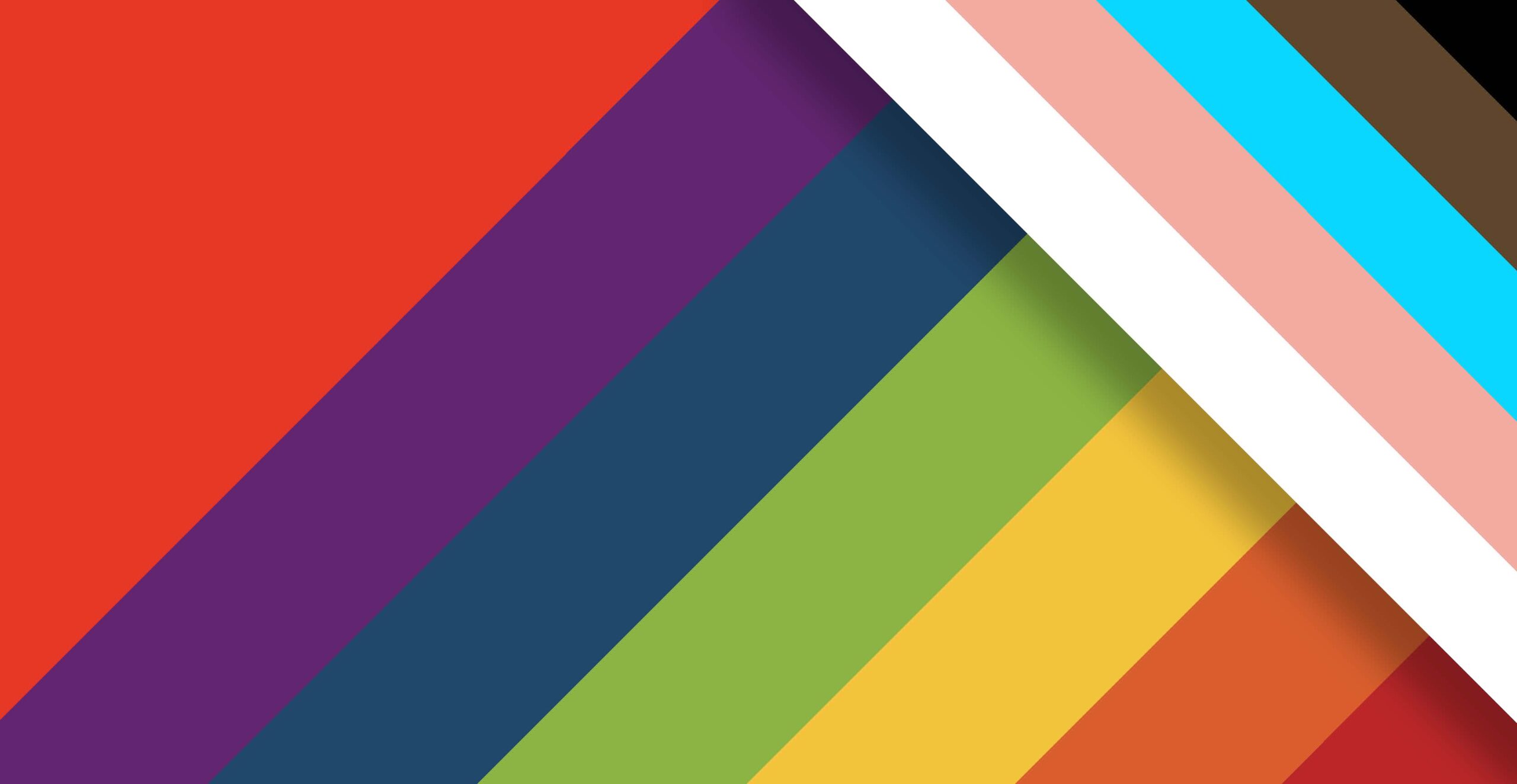 2024 DEI report Practicus - Practicus