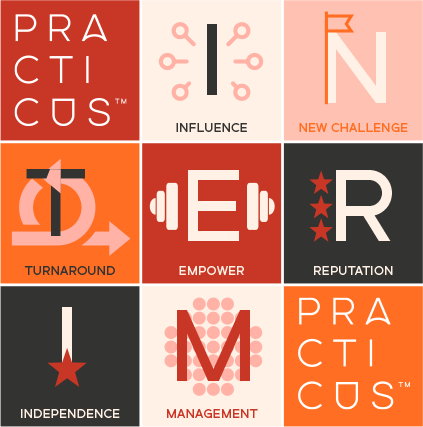 Practicus | Interim Managers, Consulting and PMO services