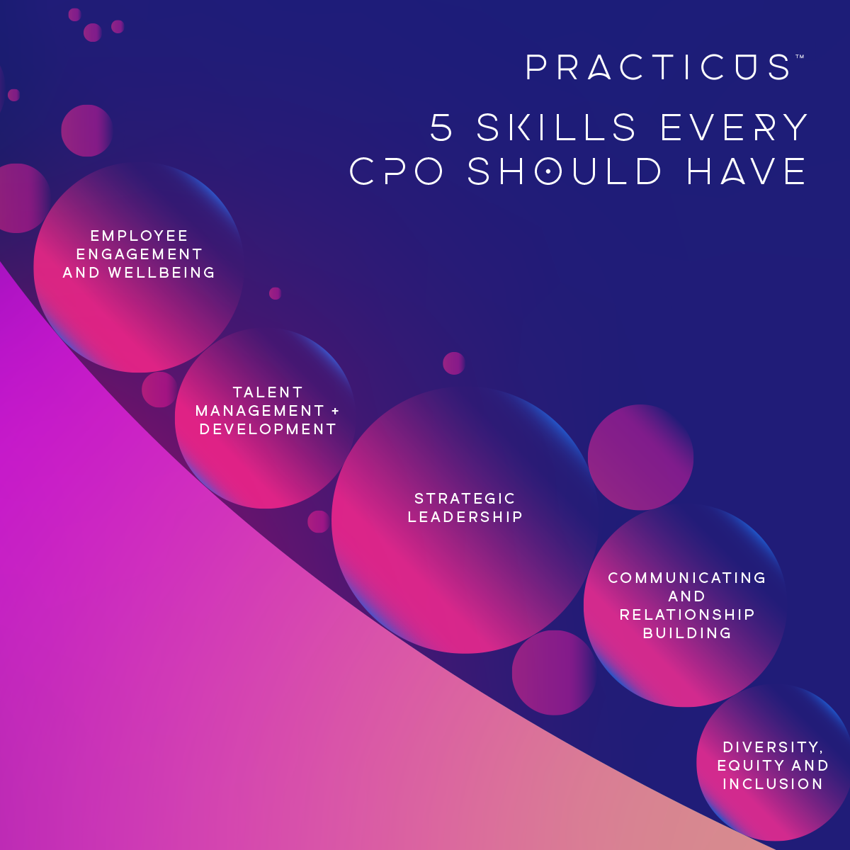 Chief People Officer Guide