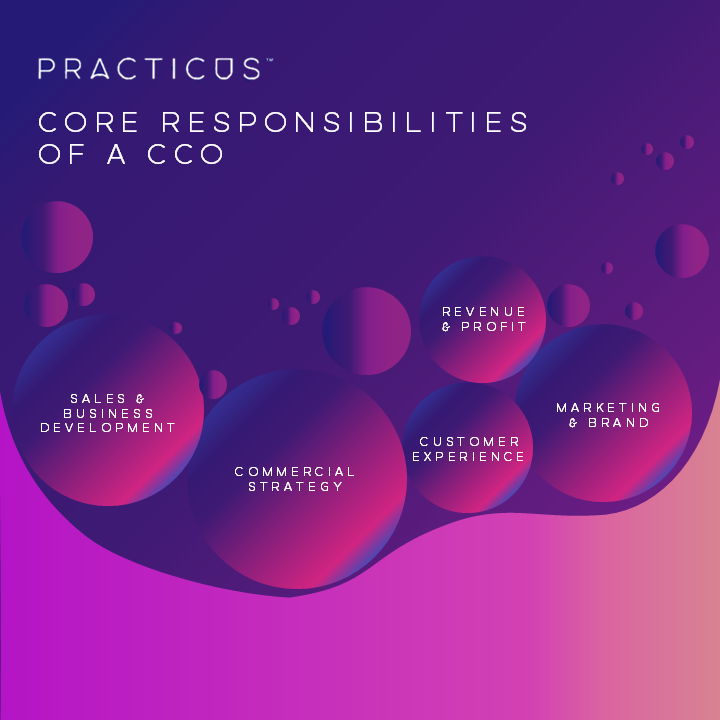 Ultimate Chief Commercial Officer Guide